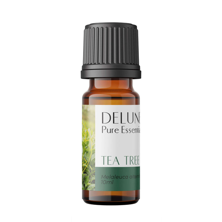 Tea Tree Pure Essential Oil - Skin & Immune Booster – Delune